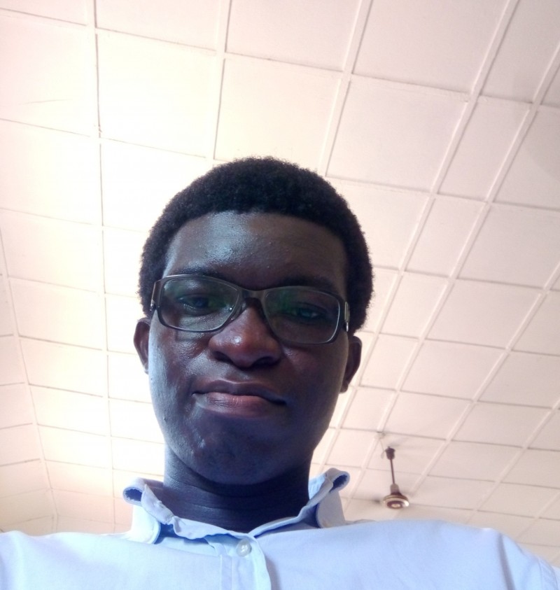 Buy The effect of tobacco breeding among the youths by Godwin Ugochukwu ...