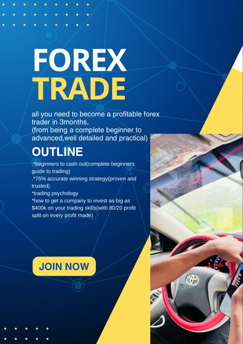 Buy Beginners to pro forex trader in 3 months by Financial Acumen on Selar