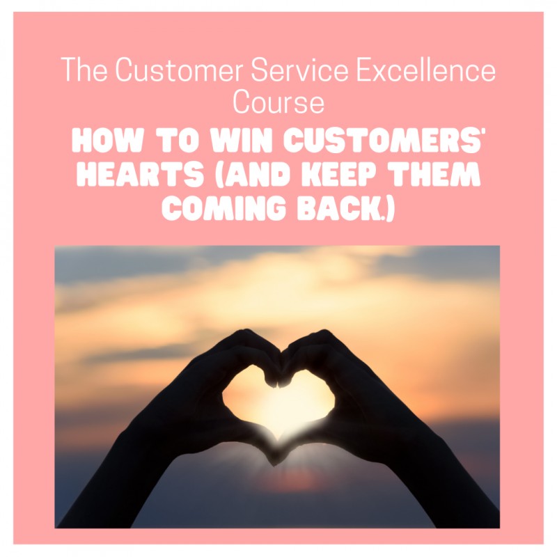 Buy The Customer Service Excellence Course: How to attract and retain ...