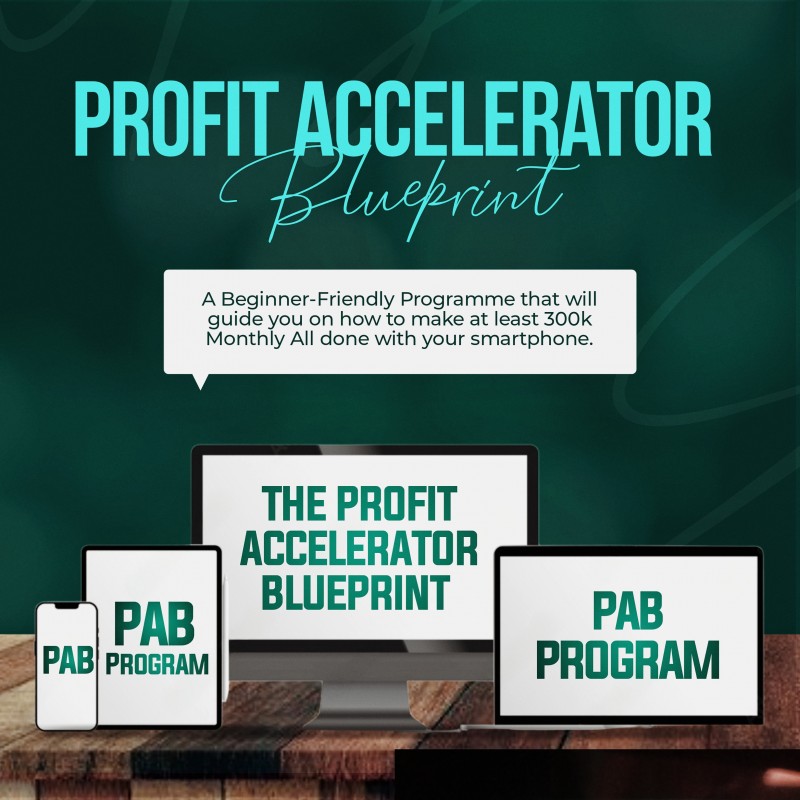 Buy Profit accelerator blueprint by Harica Anoh on Selar