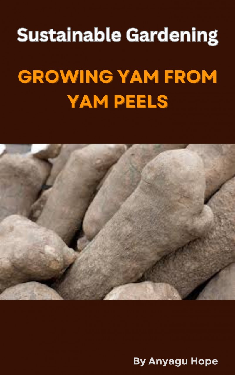 Buy Sustainable Gardening: Growing Yam from Yam Peels by Hope Ndubuisi ...