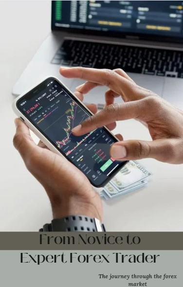 Buy From Novice to Expert Forex Trader by Hussani Ibrahim on Selar