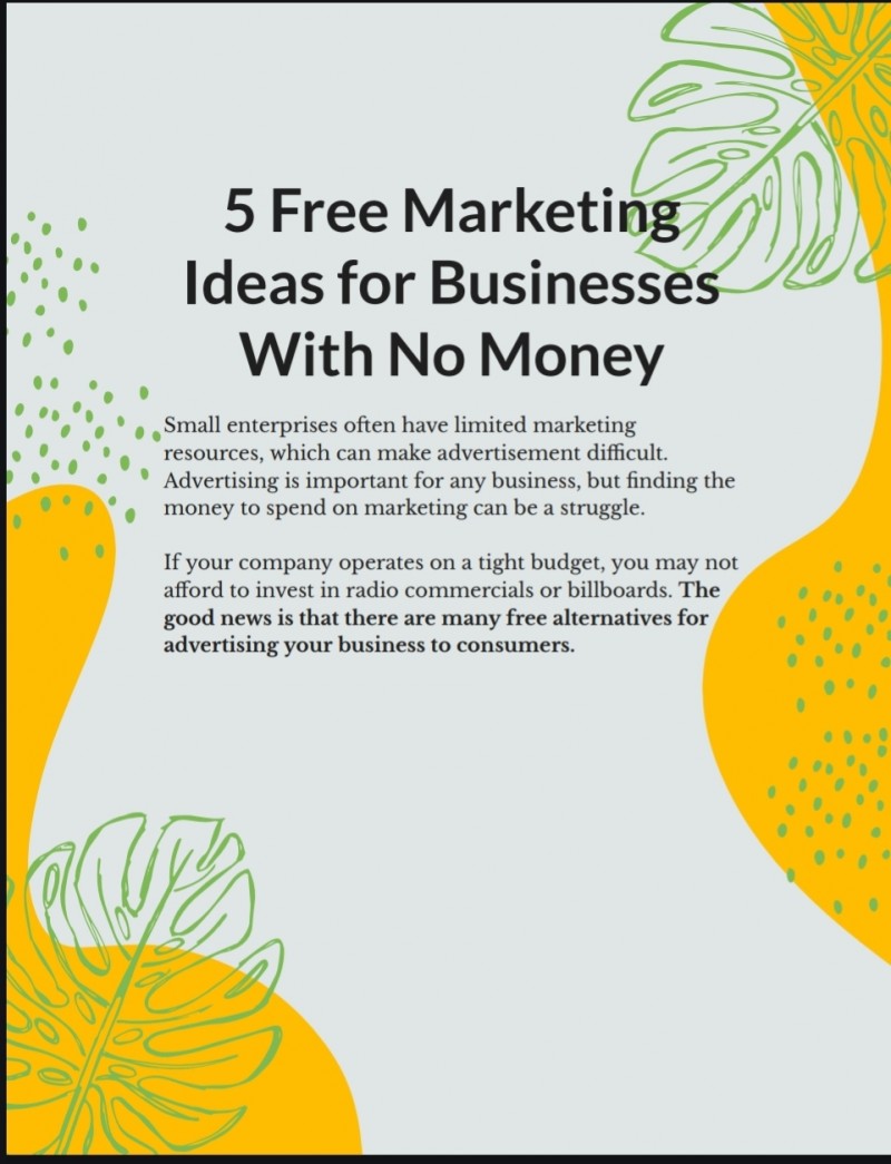 Buy 5 Free Marketing Ideas for Businesses With No Money by Ibrahim ...