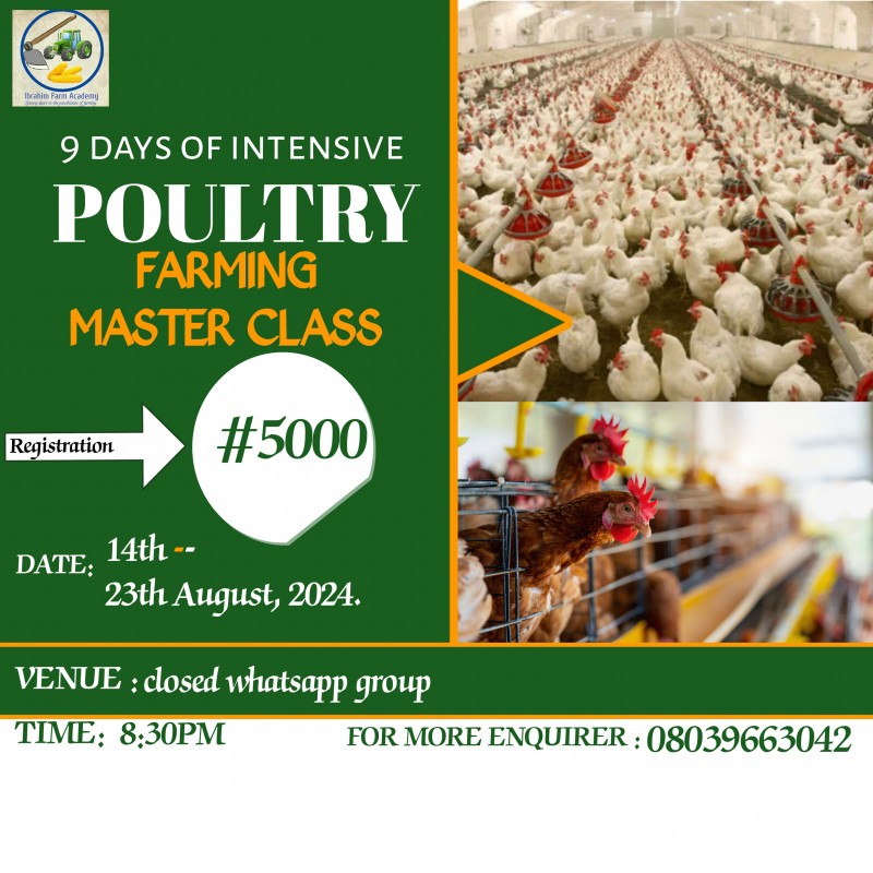Buy Poultry farming master class by Ibrahim Bolaji on Selar