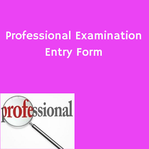 Buy Professional Examination Entry Form by ICPAN - The Institute of ...