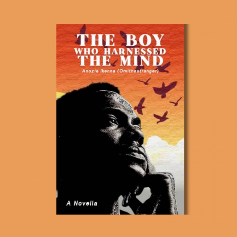 Buy The Boy Who Harnessed the Mind [Hardcopy] by Ikenna Anozie on Selar