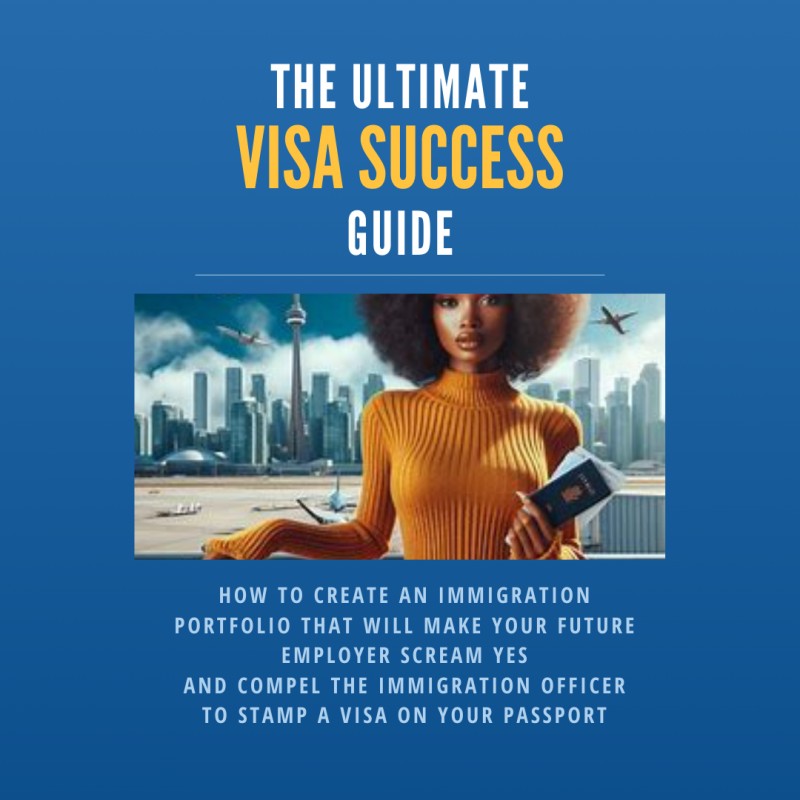 Buy THE ULTIMATE VISA SUCCESS GUIDE - how to create an immigration ...