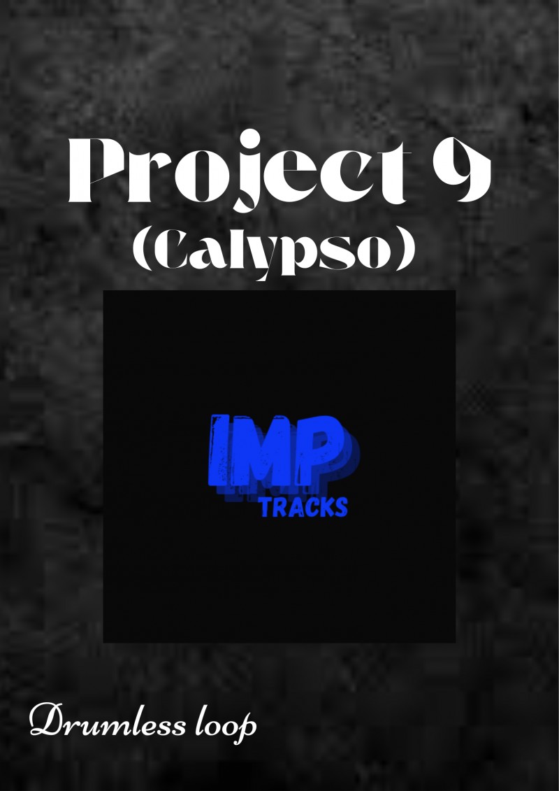 Buy Project 9 (Calypso) Loop by Impact Tracks on Selar