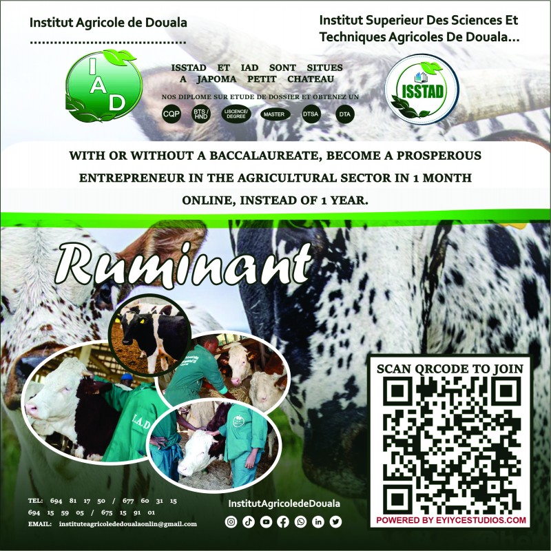 Buy Ruminants and Basics of Ruminant Farming by Institute Agricole de Douala Online on Selar