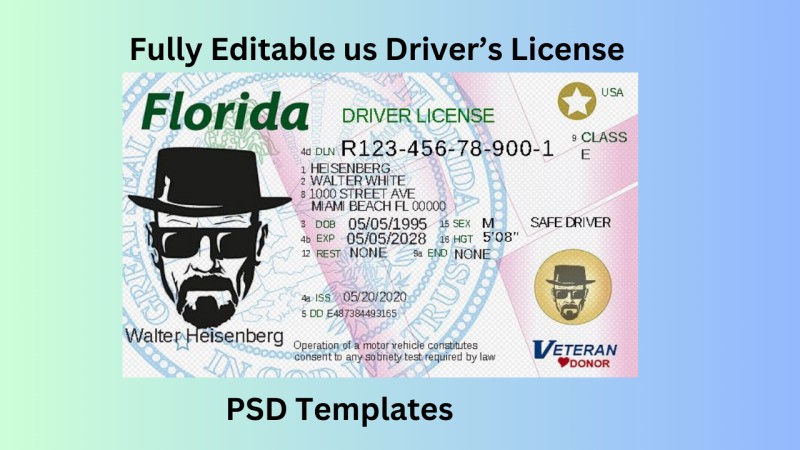Buy Fully Editable USA Driver's License PSD Templates: Simple, Reliable ...