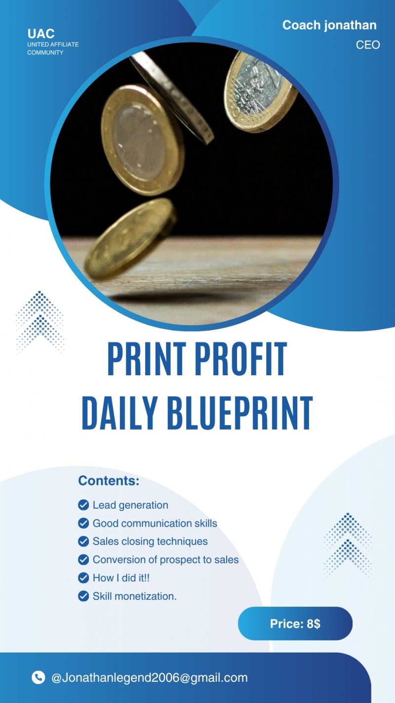 Buy PRINT PROFIT DAILY BLUEPRINT by Profit printers academy on Selar