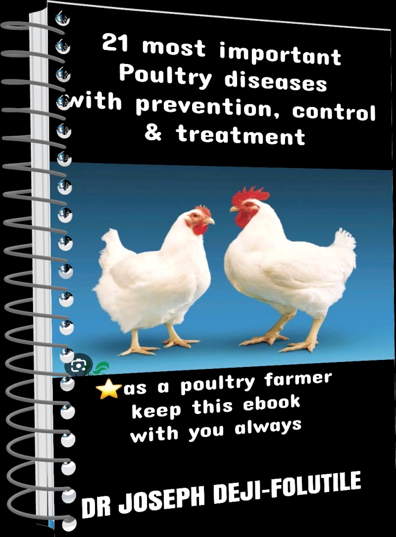 Buy 21 most important diseases of poultry with prevention, control & treatment by JOSEPH DEJI ...