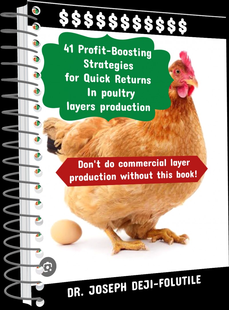 Buy 41 Profit-Boosting Strategies for Quick Returns In poultry layers production by JOSEPH DEJI ...