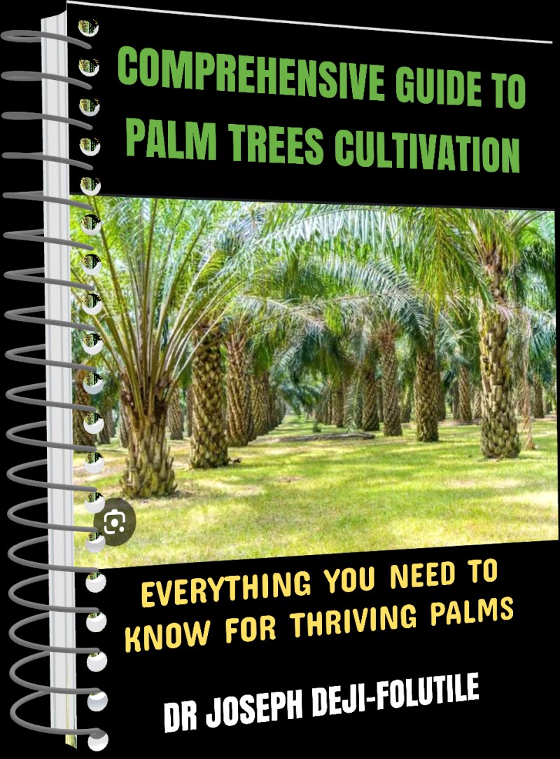 Buy Comprehensive Guide to Palm Trees Cultivation by JOSEPH DEJI ...