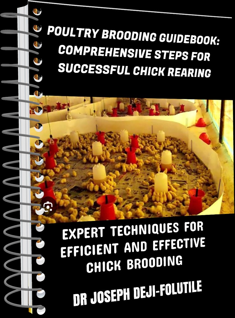 Buy Poultry Brooding Guidebook: Comprehensive Steps for Successful ...