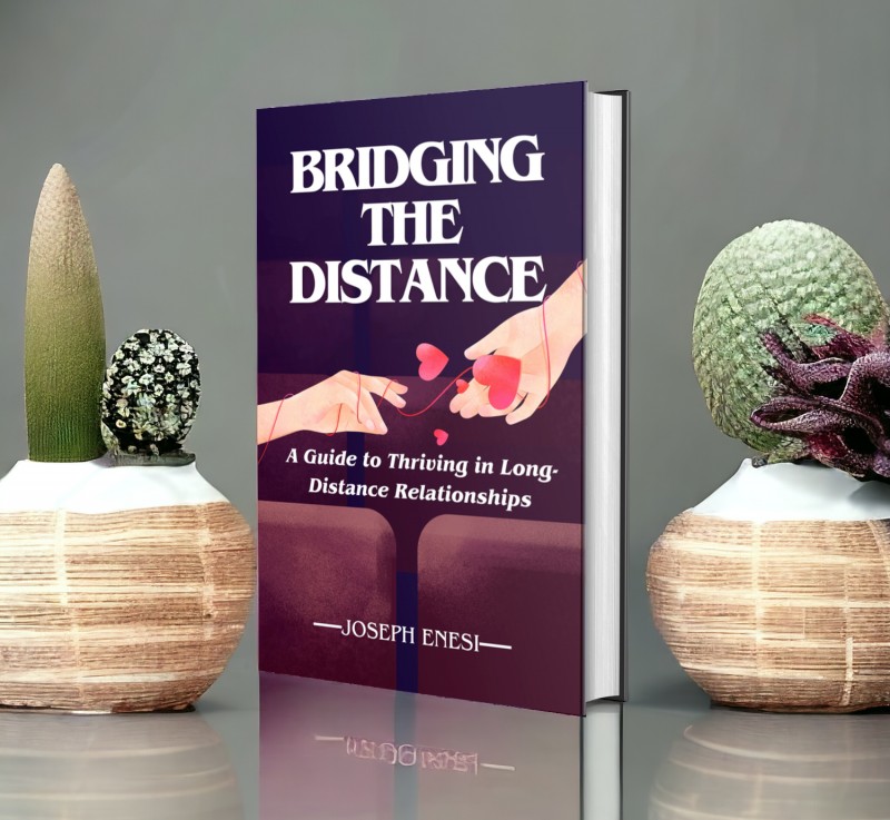 Buy Bridging the Distance: A Guide to Thriving in Long-Distance ...