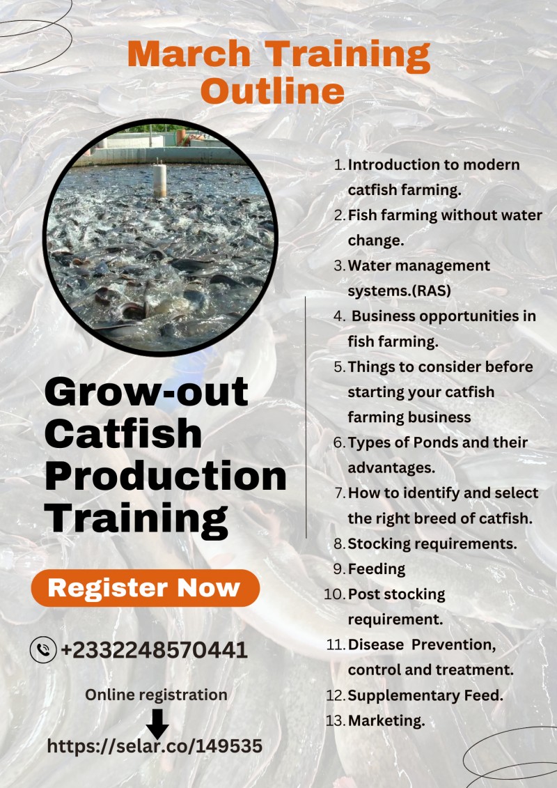 Buy Grow-Out Catfish Production Practical Training 500 by Joshua Anim ...
