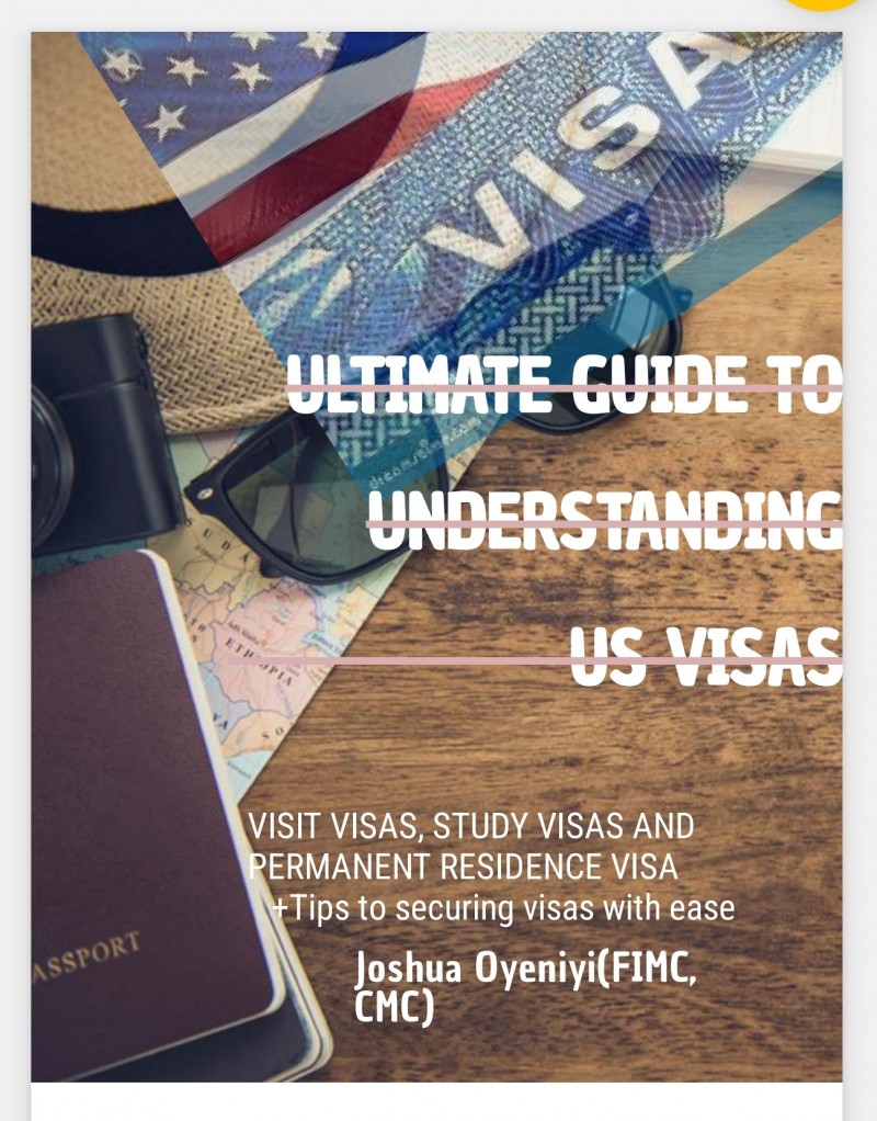 Buy ULTIMATE GUIDE TO UNDERSTANDING US VISAS (Tips to Getting Your Visa and GreenCard with Ease ...