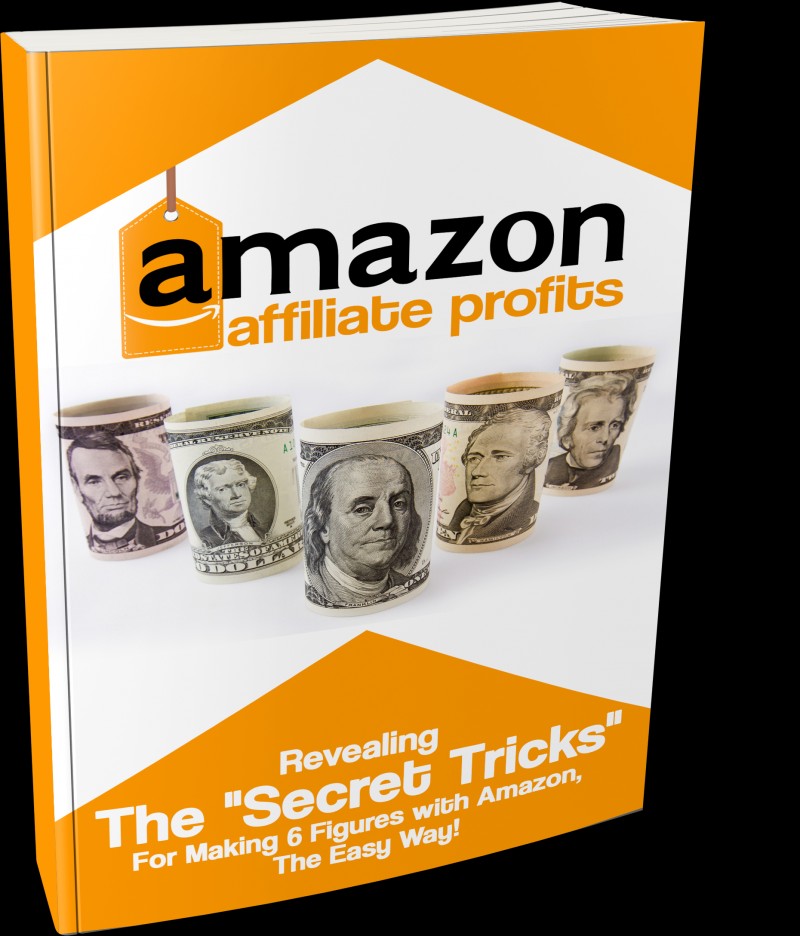Buy Amazon Affiliate Success Blueprint by Kaylan Scott on Selar