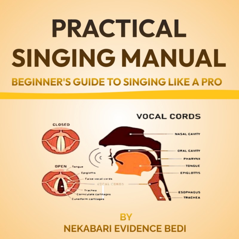 Buy PRACTICAL SINGING MANUAL: BEGINNER'S GUIDE TO SINGING LIKE A PRO by King Evidence on Selar