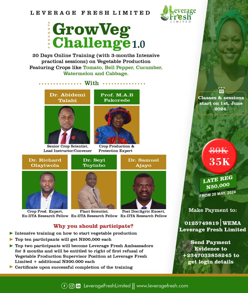 Buy GrowVeg Challenge by Leverage Fresh on Selar