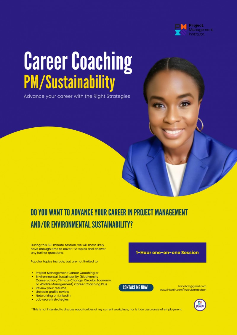 Buy 1-Hour Career Coaching by Louisa Kabobah on Selar