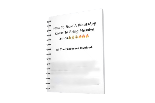 Buy 💸 ₦8M WhatsApp Sales Script With Editable Templates by Maria Nnadi ...