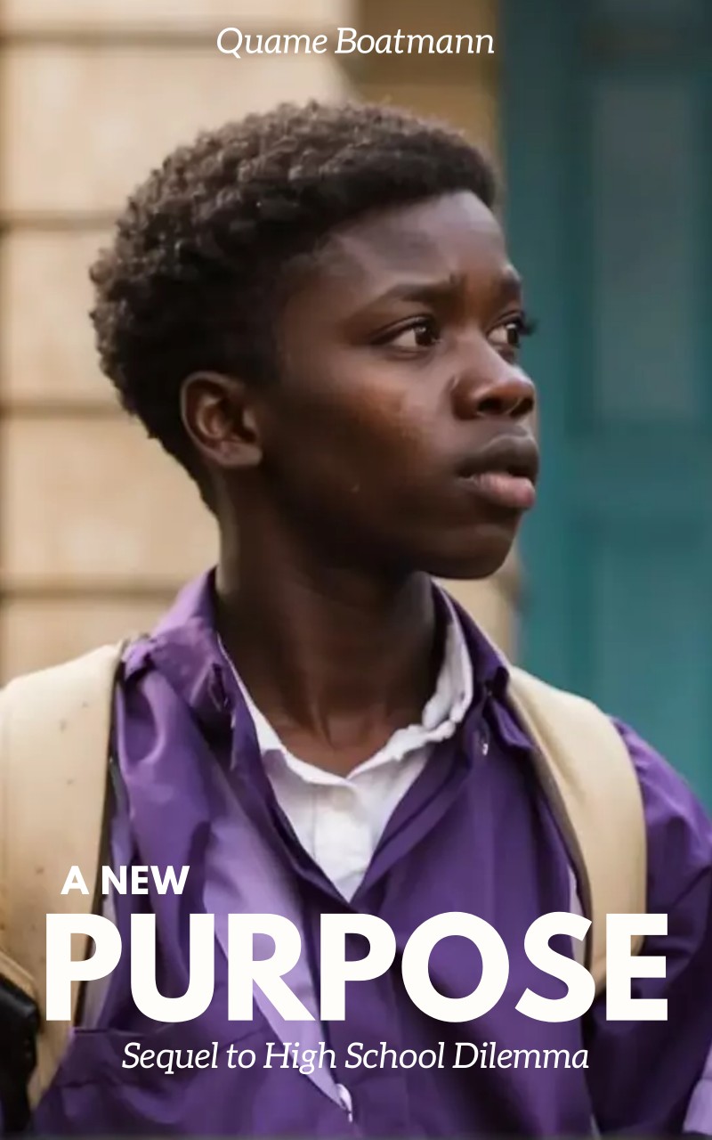 Buy A New Purpose: A Sequel to High School Dilemma by Echobooks on Selar