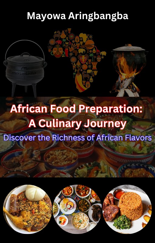 Buy African Food Preparation: A Culinary Journey by Mayowa Aringbangba ...