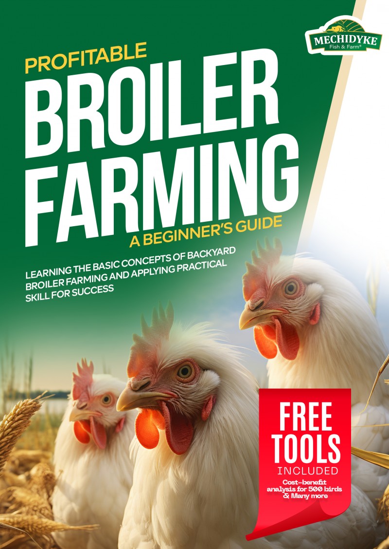 Buy PROFITABLE BROILER FARMING BEGINNER'S GUDIE by MECHIDYKE ENTERPRISE ...