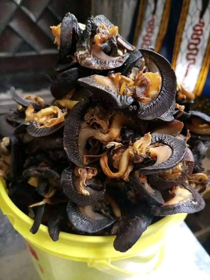 Get Dry snails by Meg Foodstuff express on Selar