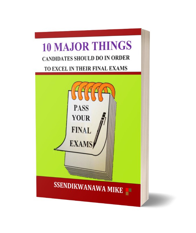 Buy 10 MAJOR THINGS CANDIDATES SHOULD DO IN ORDER TO EXCEL IN THEIR ...