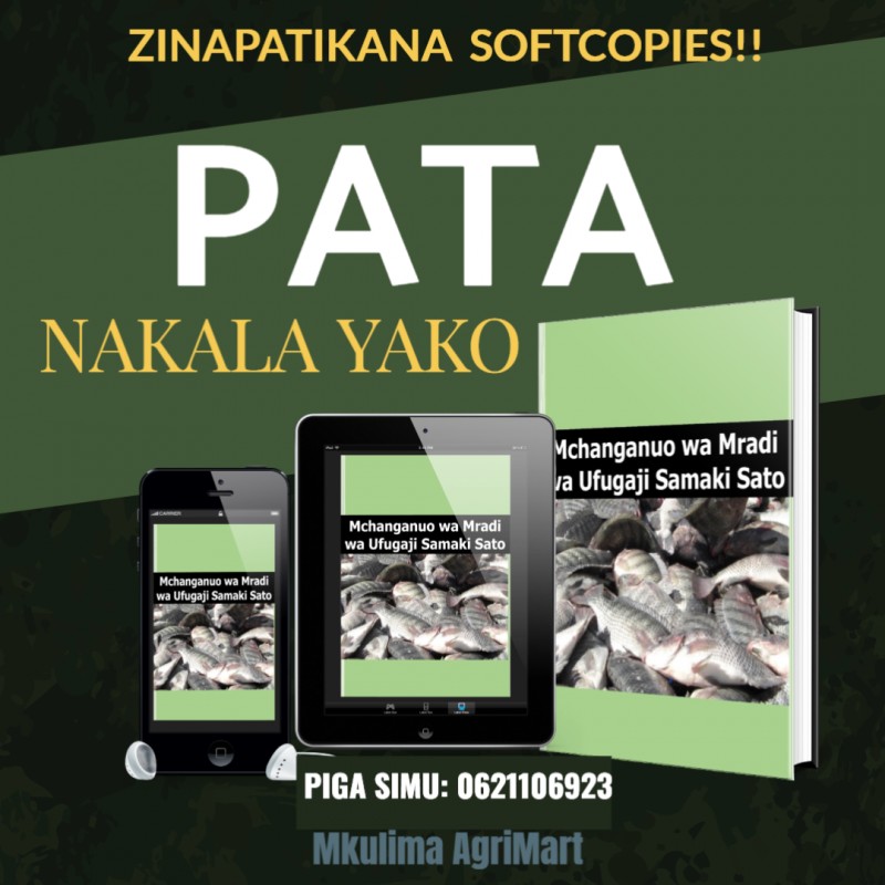 Buy Mchanganuo wa Mradi wa Ufugaji Samaki sato kwenye Mabwawa by ...