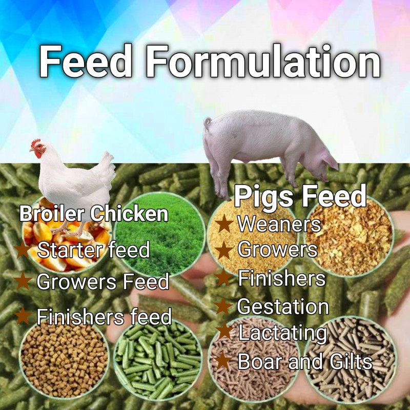 Buy Feed Formulation for Broiler Chicken and Pigs by Mololuwa Farm on Selar