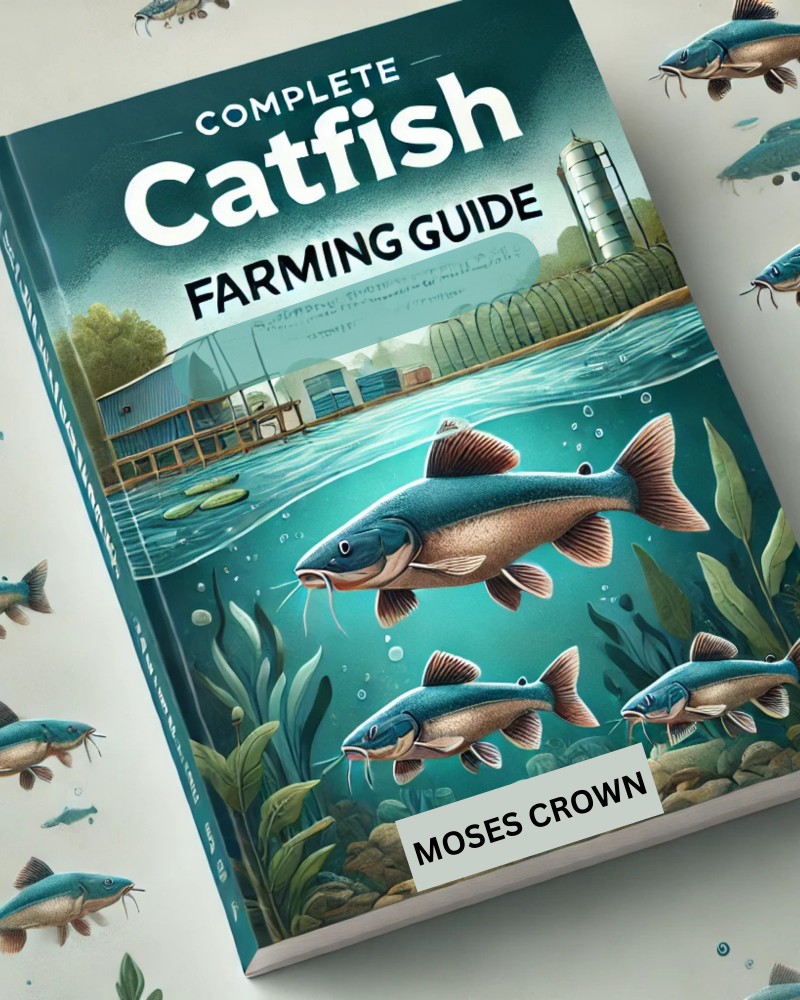 Buy COMPLETE CATFISH FARMING GUIDE by Moses Olurotimi on Selar.co