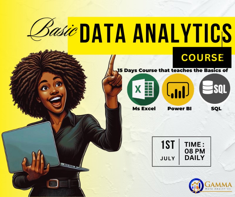 Buy BASIC DATA ANALYTICS by Moses Udoisoh on Selar