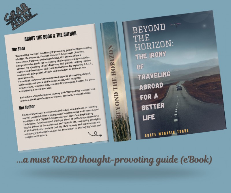 Buy Beyond The Horizon: The Irony of Traveling Abroad for a Better Life ...