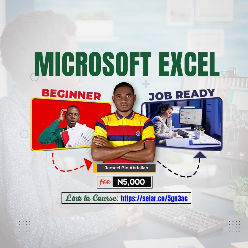 Buy MICROSOFT EXCEL ESSENTIALS: BEGINNER TO JOB READY by ProSkills on Selar