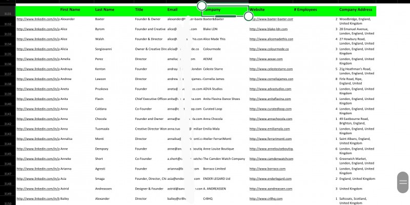 Buy 3100 Brand Database by Slade Harrison on Selar
