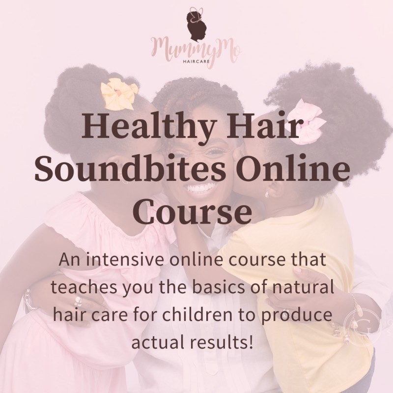 Buy The Healthy Hair Soundbites Online Course - Self Paced Program by ...