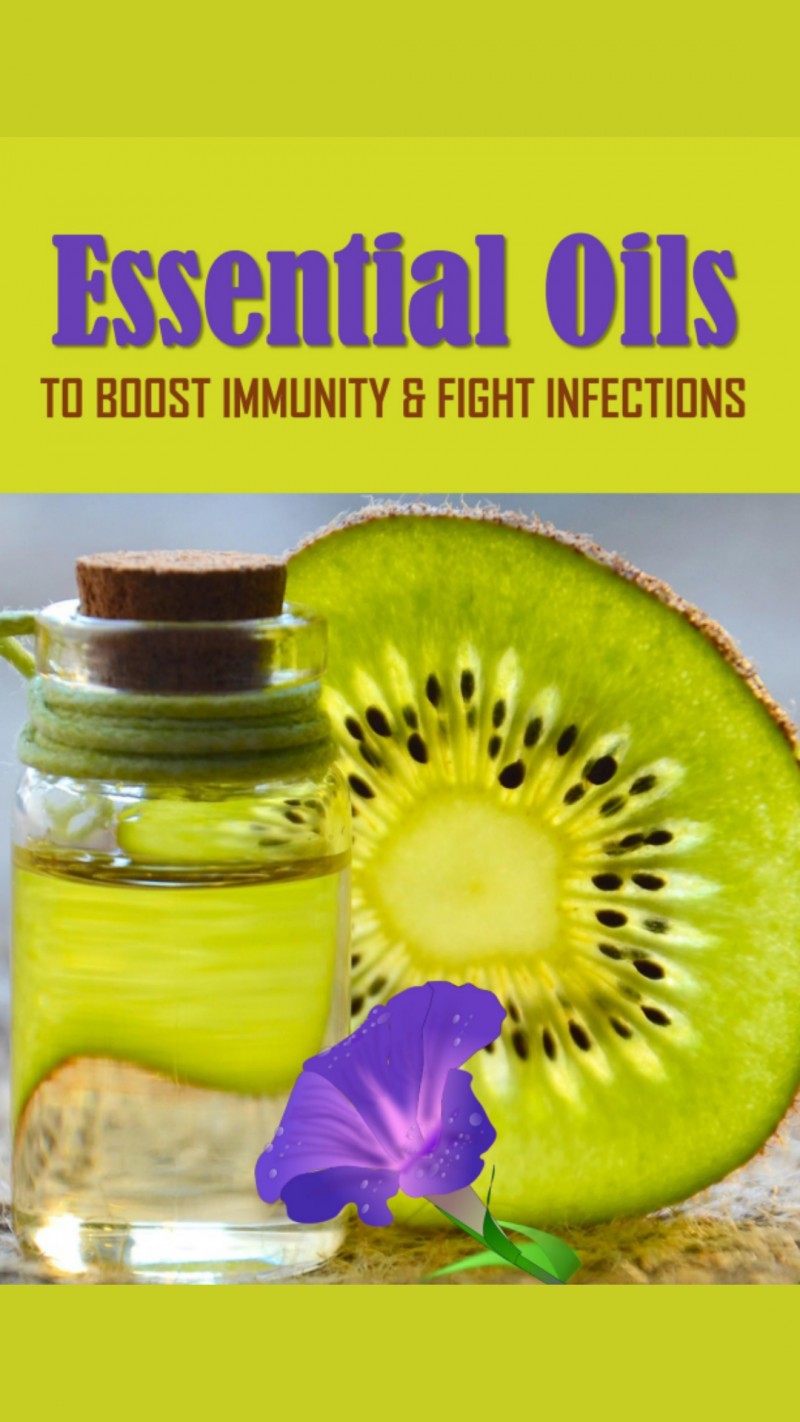 Buy Essential Oils To Boost Immunity and Fight Infections by My Healthy ...