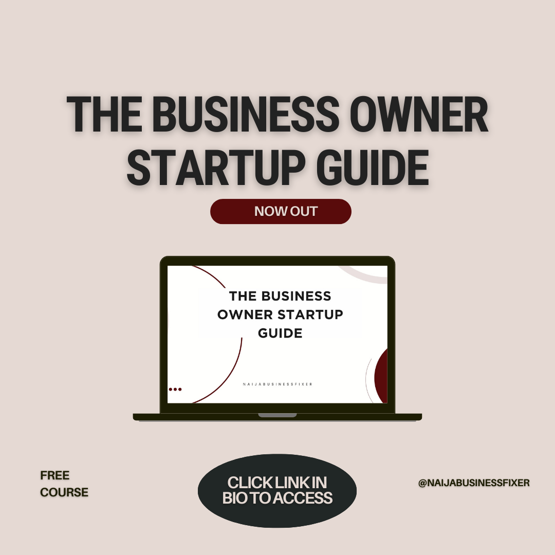 Get The Business Owner Startup Guide by Naija Business Fixer on Selar