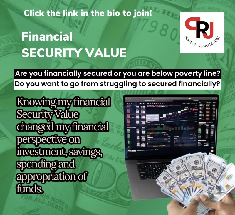 Buy Financial Security Value by Perfect Remote Jobs on Selar