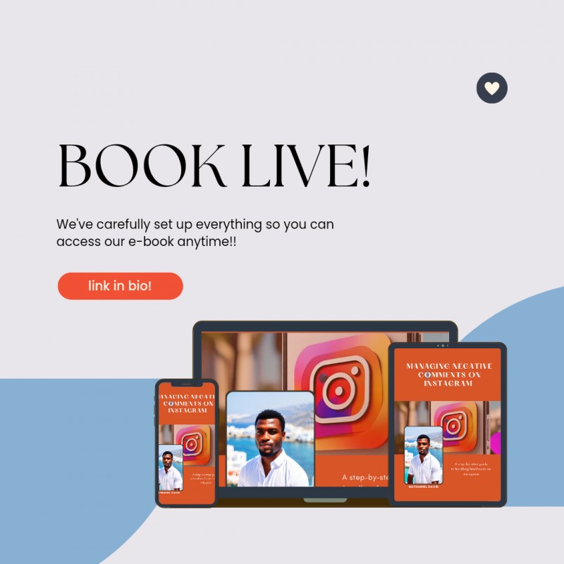 Buy Managing Negative Comments On Instagram by Nathaniel David on Selar