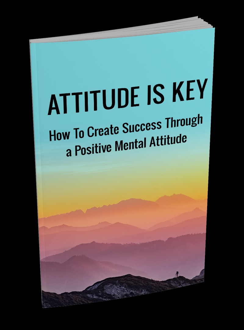 Buy Attitude is Key by Ndidi Princewill-Onwuka on Selar