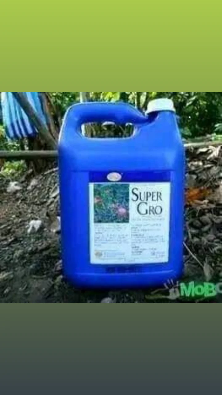 Buy Super gro by Royal store on Selar