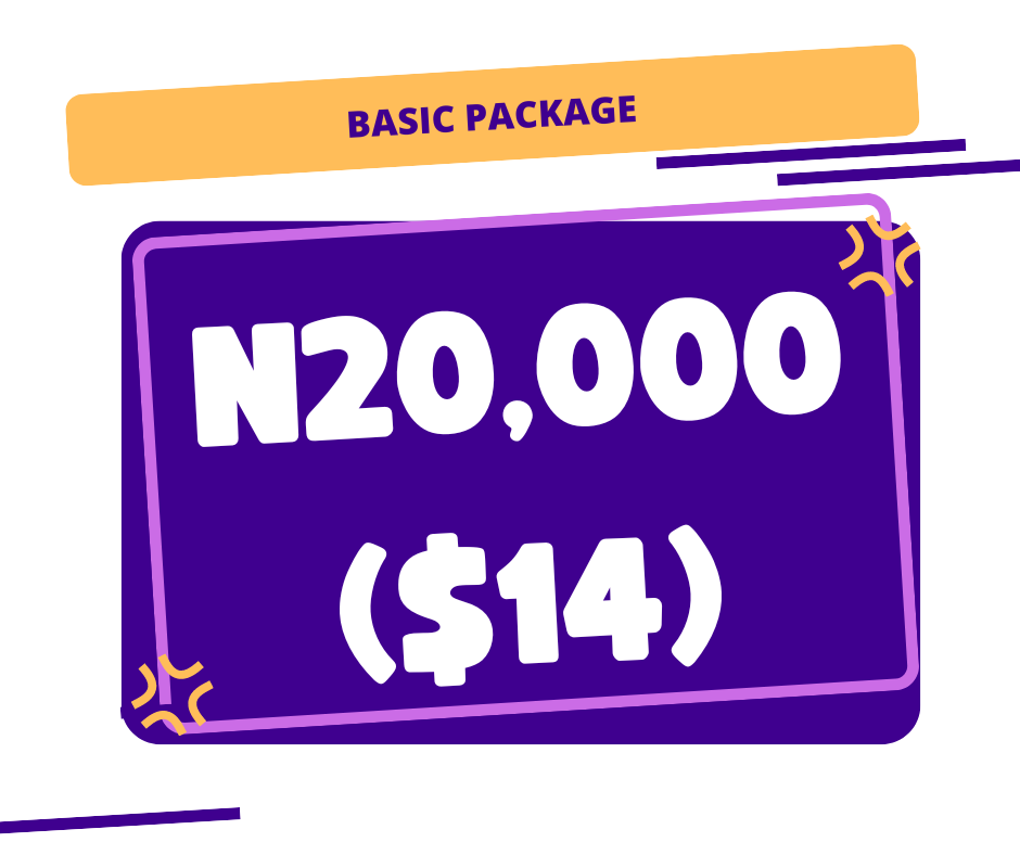 Buy BASIC PACKAGE by Nigeria Flying Labs on Selar