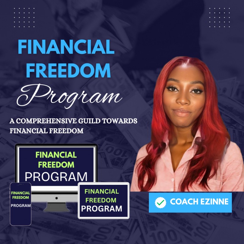 Buy FINANCIAL FREEDOM PROGRAM by Nkwa Ezinne on Selar