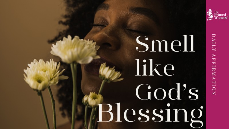 Get SMELL LIKE GOD'S BLESSING by Nnalue Ifeoma on Selar