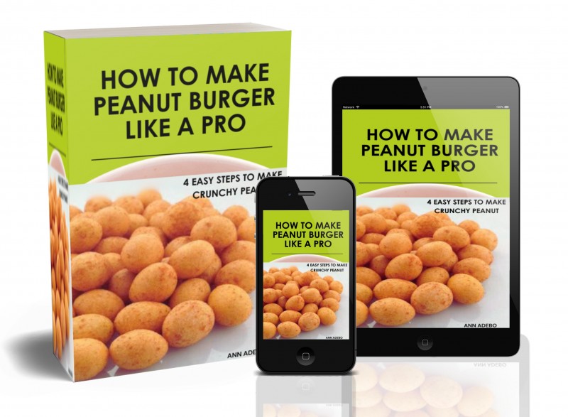 Buy HOW TO MAKE PEANUT BURGER LIKE A PRO by Digistores on Selar